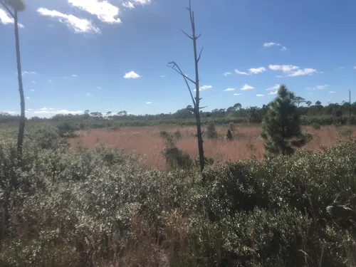 Best Hikes and Trails in Cameron Preserve | AllTrails