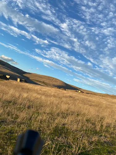 Best Hikes and Trails in Pendleton Adventure Trails Recreation Area ...