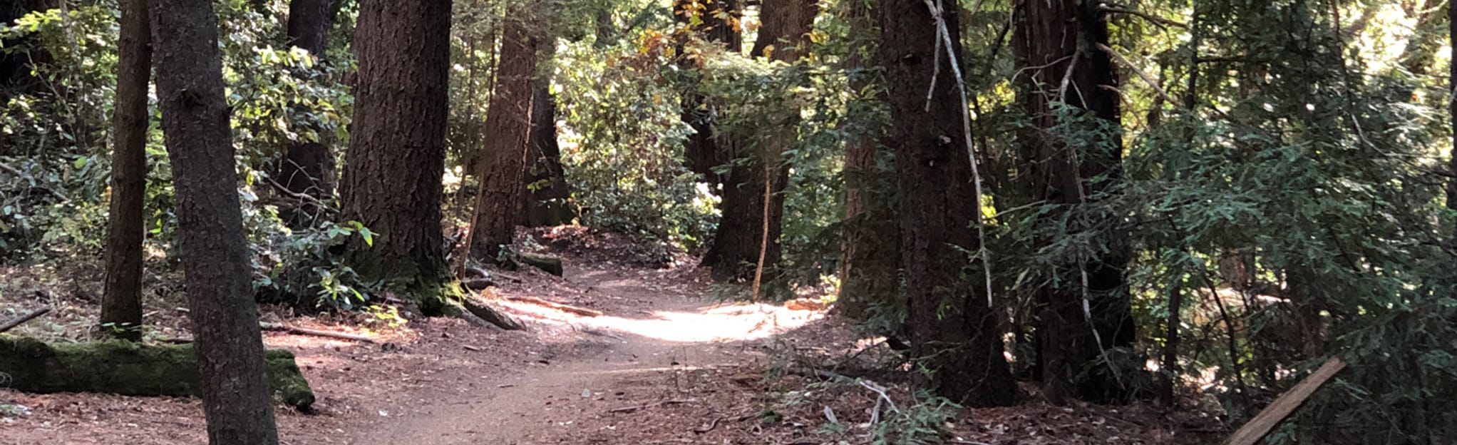 Braille Trail and Tractor Trail Loop, California - 43 Reviews, Map ...