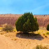 Miller Point and Juniper Draw Loop, Nevada - 122 Reviews, Map | AllTrails