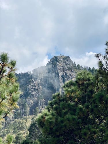 2023 Best Views Trails in Pico de Tancítaro | AllTrails