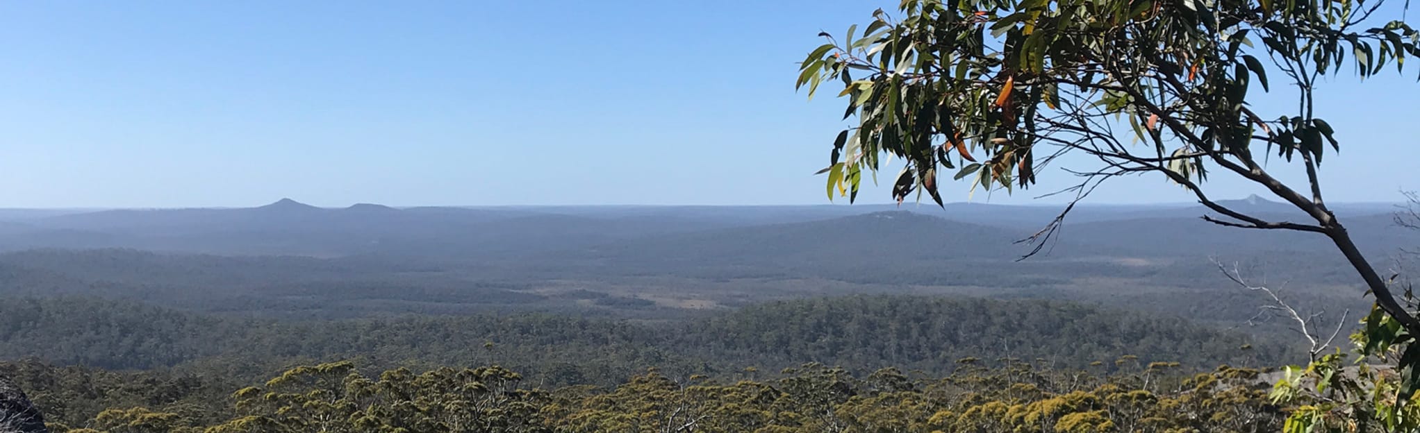 Mount Frankland Summit Trail, Western Australia, Australia - 48 Reviews ...