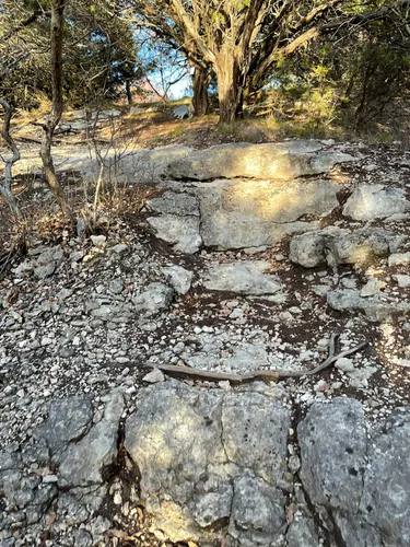 Best 10 Hiking Trails in Fossil Rim Wildlife Center | AllTrails