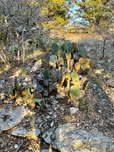 Best 10 Hiking Trails in Fossil Rim Wildlife Center | AllTrails