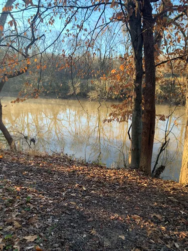 Best Walking Trails in Ramseur | AllTrails