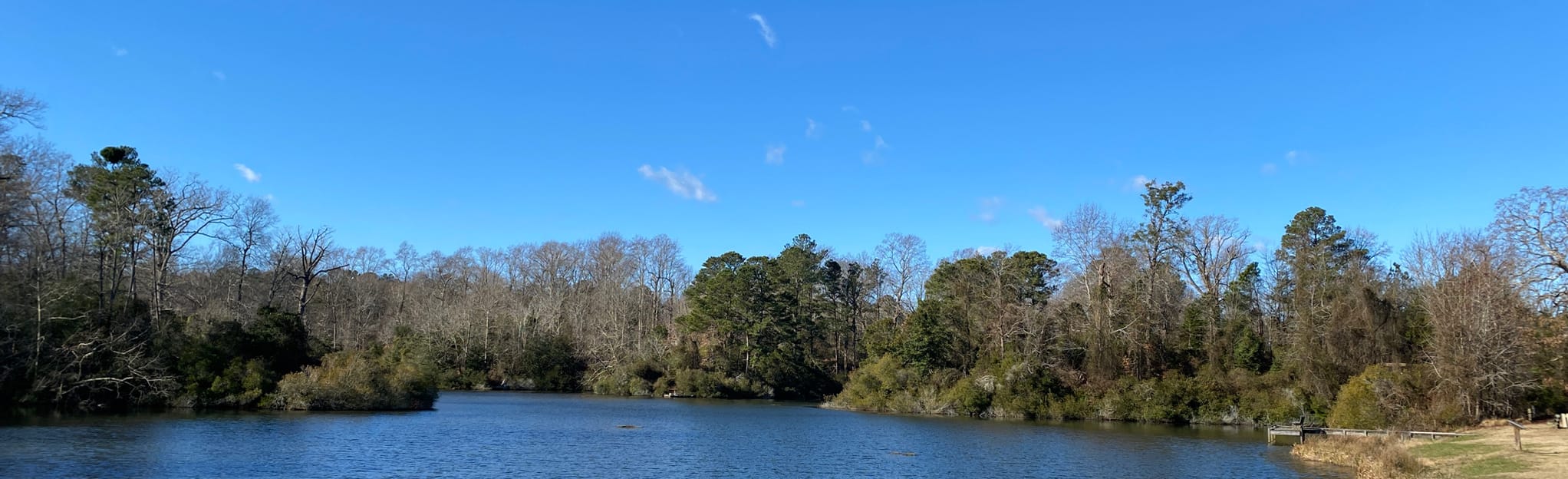Woodstock Path Trail | Map, Guide - Virginia | AllTrails