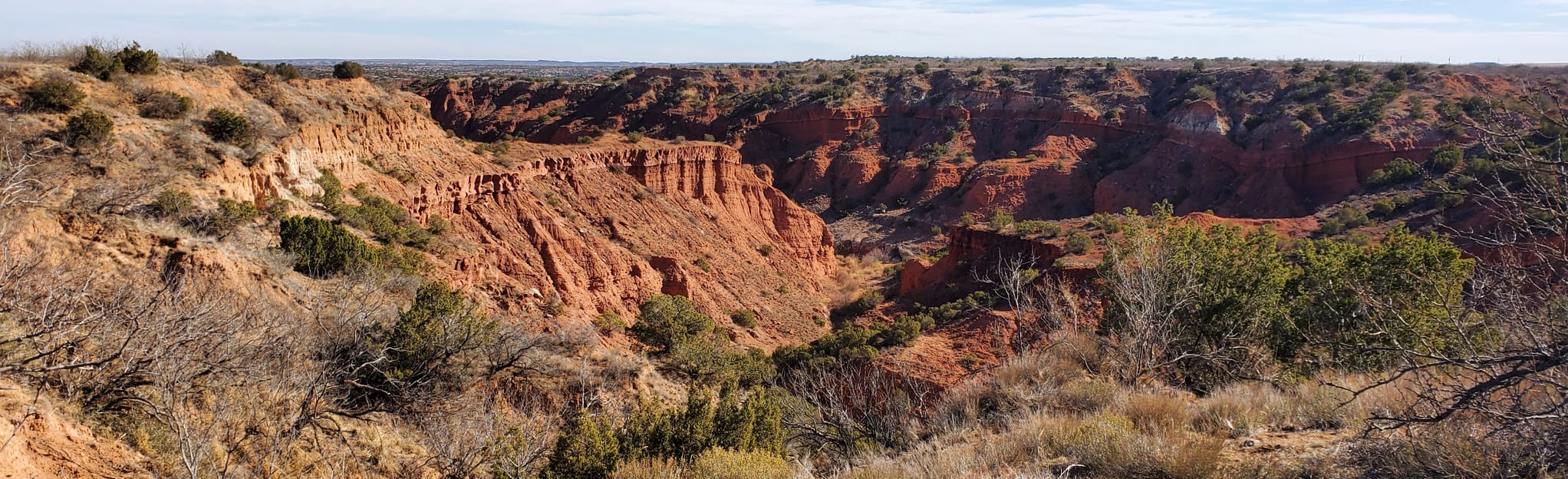 Caprock Canyon Rim Trail (Spur Loop), Texas - 274 Reviews, Map | AllTrails