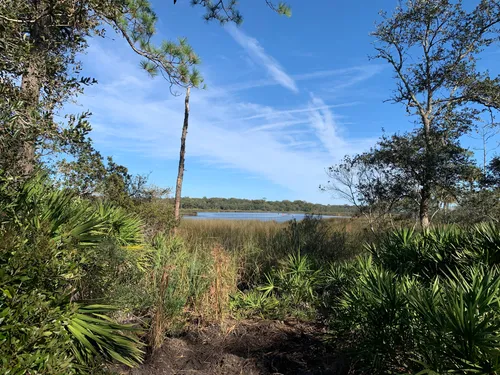 Best Hikes and Trails in Princess Place Preserve | AllTrails