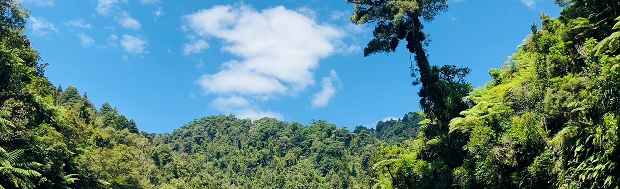 Whanganui River: Taumaruni to Pipiriki | Map, Guide - Manawatu-Wanganui ...