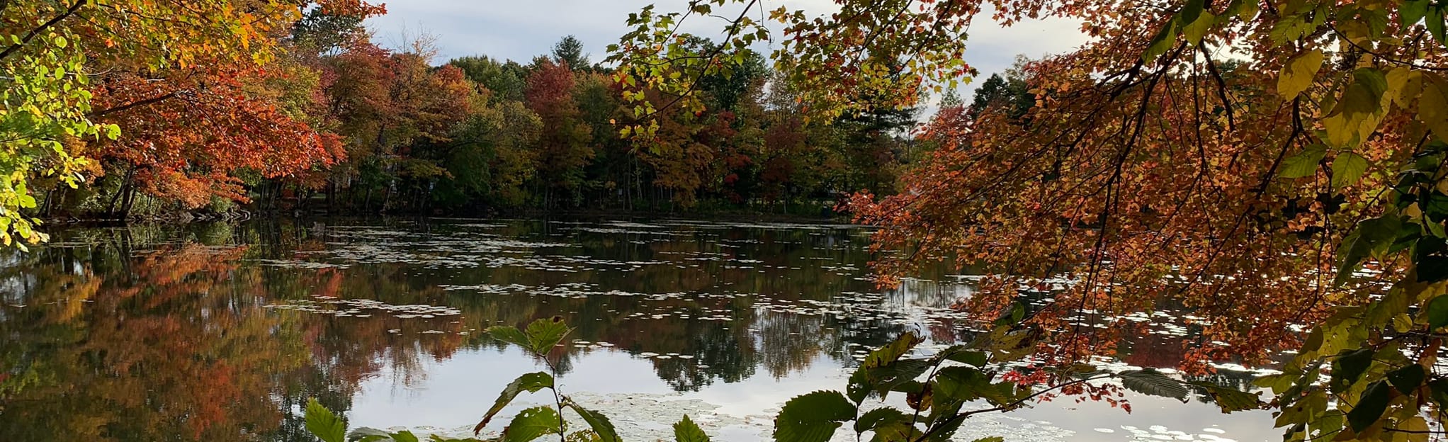 Chief Joseph’s Nature Trail, Massachusetts - 26 Reviews, Map | AllTrails