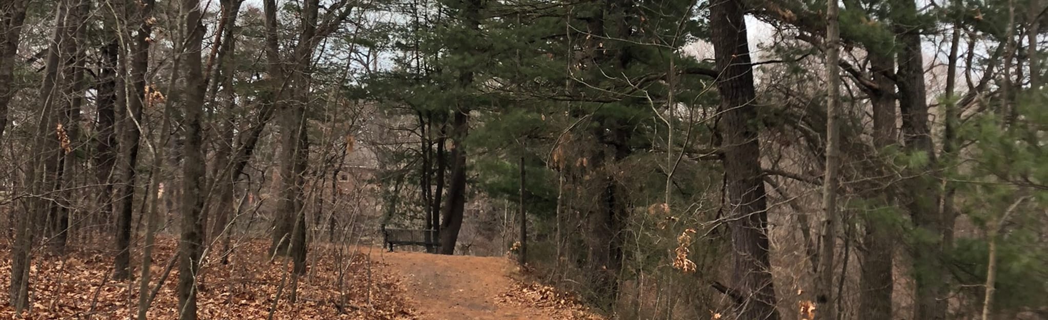 Knauf Park Trail , Michigan - 88 Reviews, Map | AllTrails