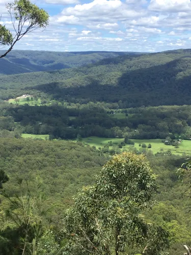 10 Best Hikes and Trails in Watagans National Park | AllTrails
