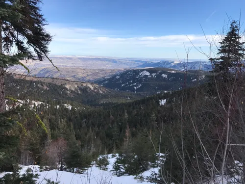 10 Best Trails and Hikes in Wenatchee | AllTrails