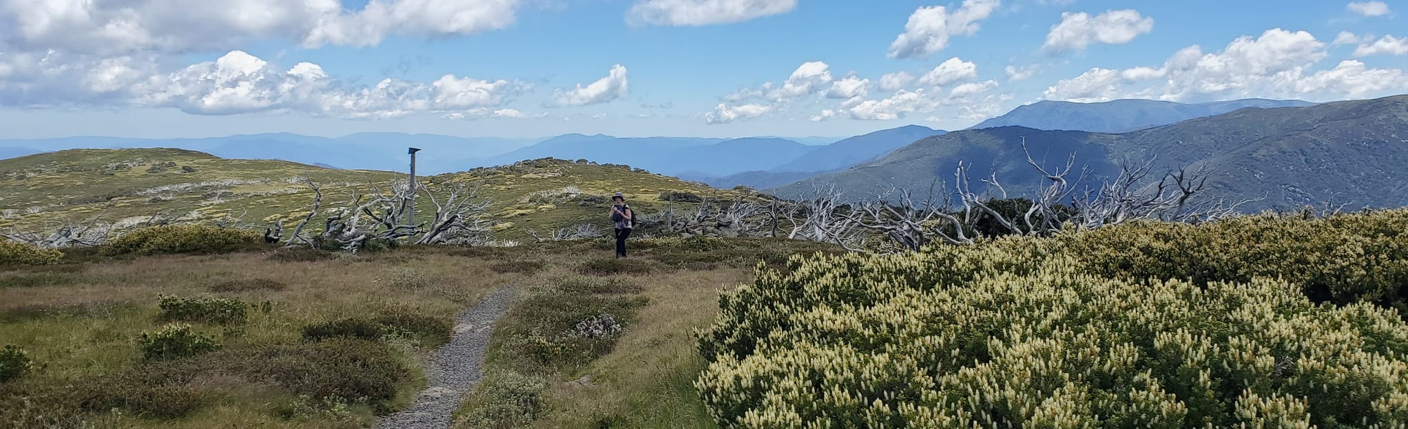 Pretty Valley Road via Sun Valley Road: 1 Reviews, Map - Victoria ...