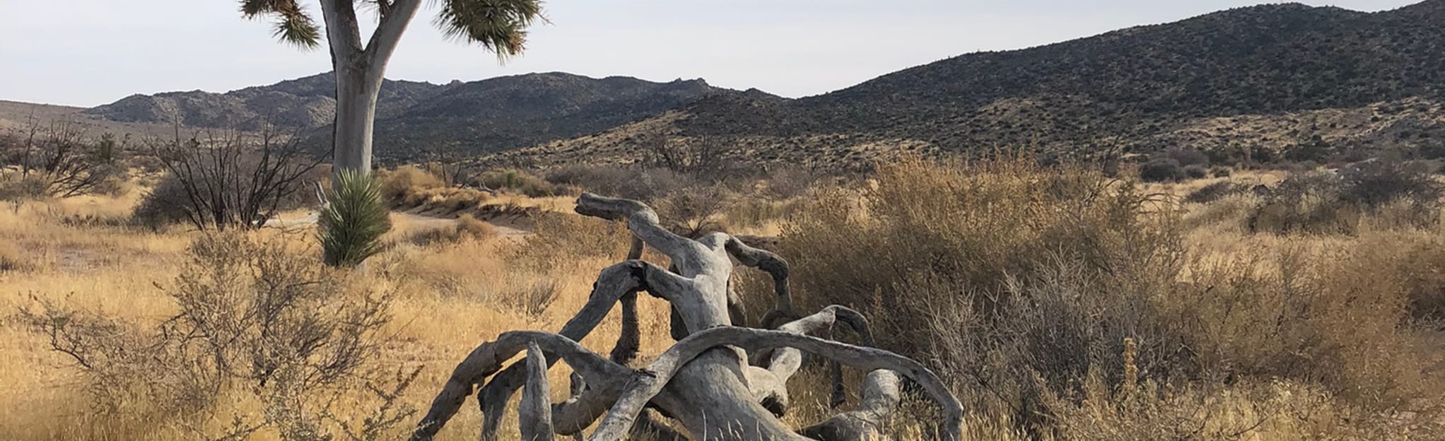 Lower and Upper Covington Flat Road: 74 Reviews, Map - California ...