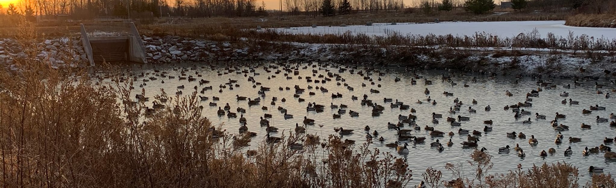 Meadow Breeze Park Loop, Ontario, Canada - 64 Reviews, Map | AllTrails