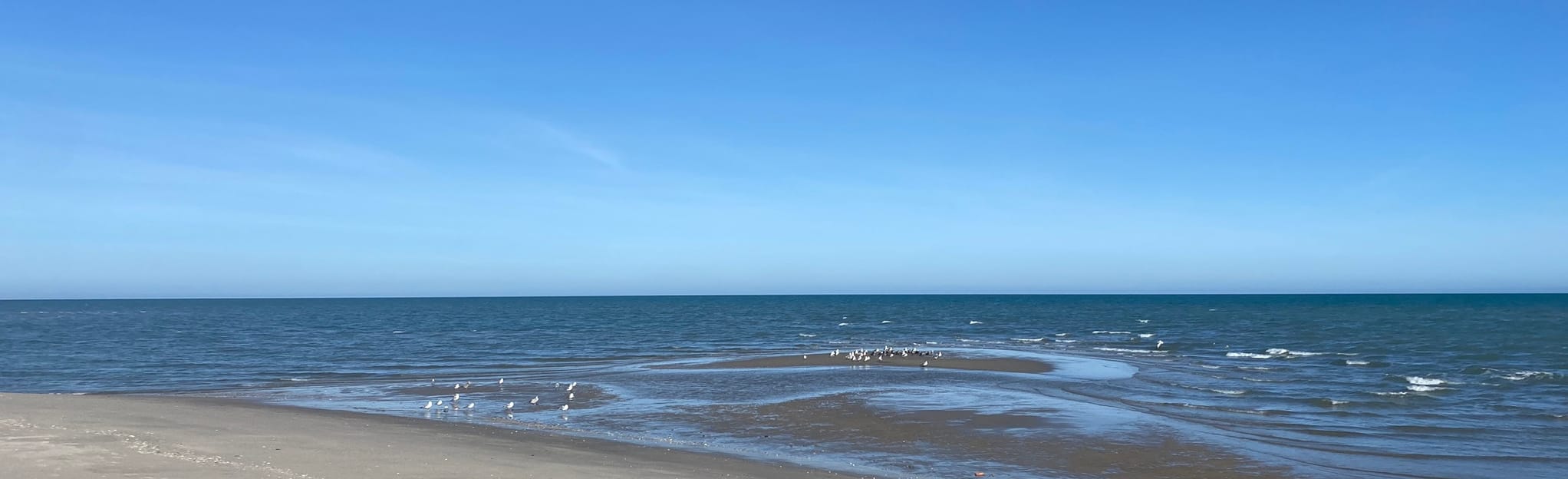 Playa las Almejas, Baja California, Mexico - Map, Guide | AllTrails