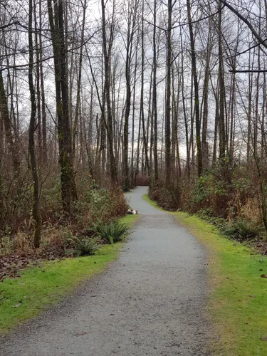 10 Best Trails and Hikes in Pitt Meadows | AllTrails