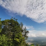 Gunung Lambak (North) via Kluang Big Tree, Johor, Malaysia - 21 Reviews ...