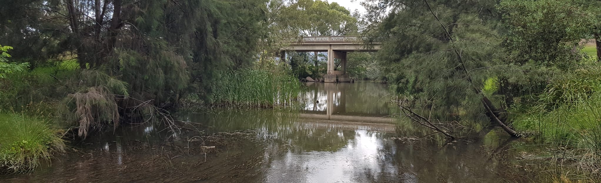 Mudgee River Walk via Cudgegong River: 76 Reviews, Map - New South ...