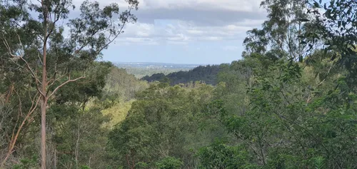 2023 Best Moderate Trails in Moggill Conservation Park | AllTrails