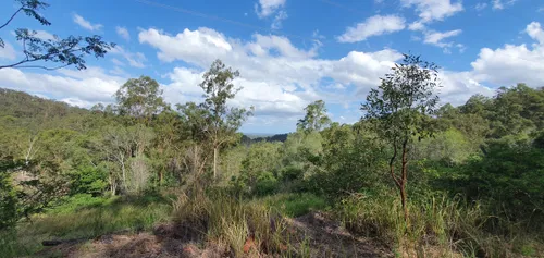 10 Best Hikes and Trails in Moggill Conservation Park | AllTrails