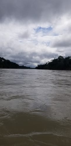 Best Hikes and Trails in Reserva de la Biósfera Montes Azules | AllTrails