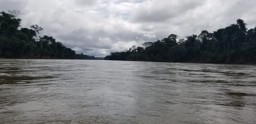 Best Hikes and Trails in Reserva de la Biósfera Montes Azules | AllTrails