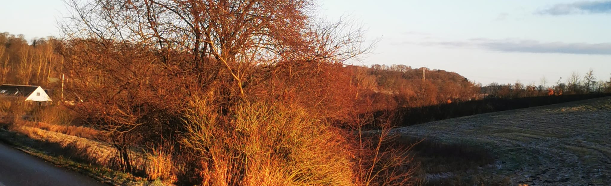 Hinnerup - Lilleå - Rønbæk | Map, Guide - Central Denmark, Denmark ...