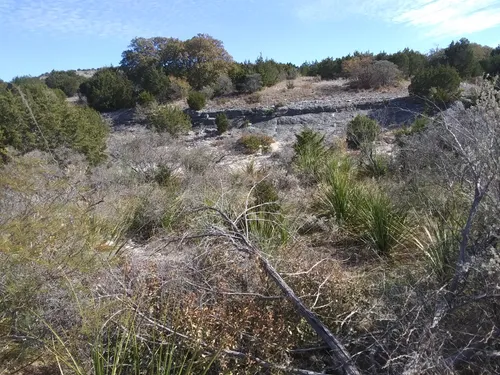 Best Hikes and Trails in Kickapoo Cavern State Park | AllTrails