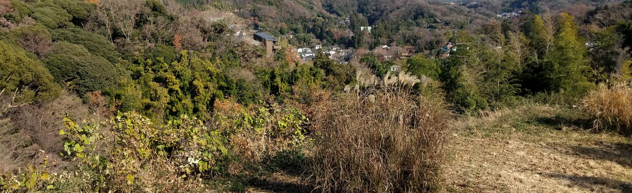 North Kamakura- Asaina Kiridoshi: 12 Fotos - Kanagawa, Japan | AllTrails