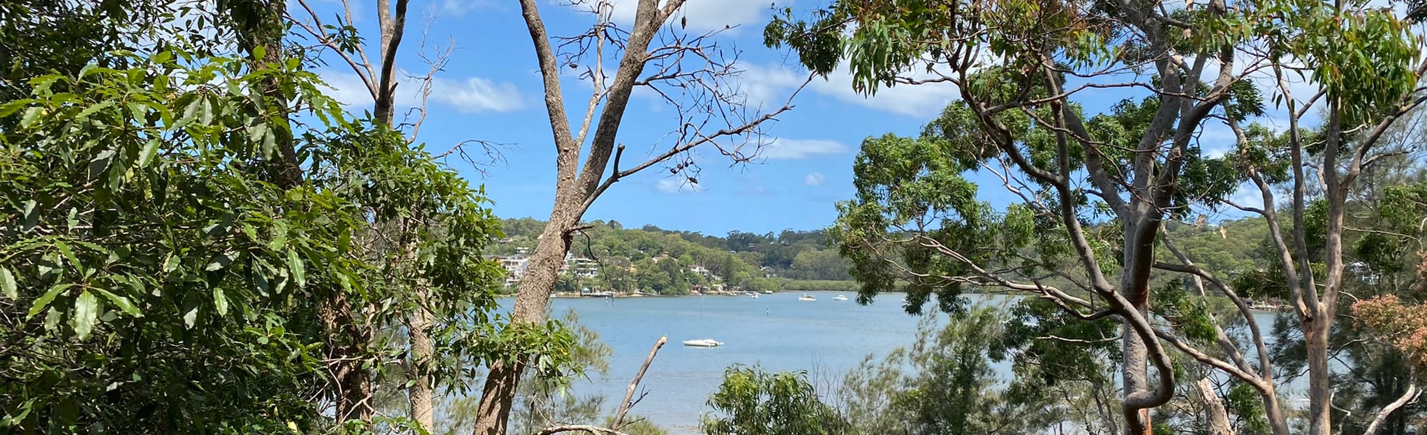 Como Bridge Path: 40 Fotos - New South Wales, Australien | AllTrails