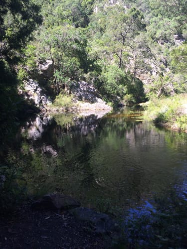 Best Hikes and Trails in Groendal Wilderness Area | AllTrails