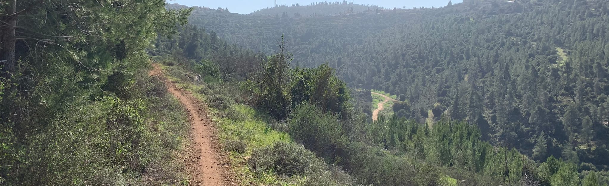 Ein Rafa Singletrack: 29 Reviews, Map - Jerusalem, Israel | AllTrails