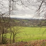 Gomshall Mill and Netley Park Circular, Surrey, England - 216 Reviews ...