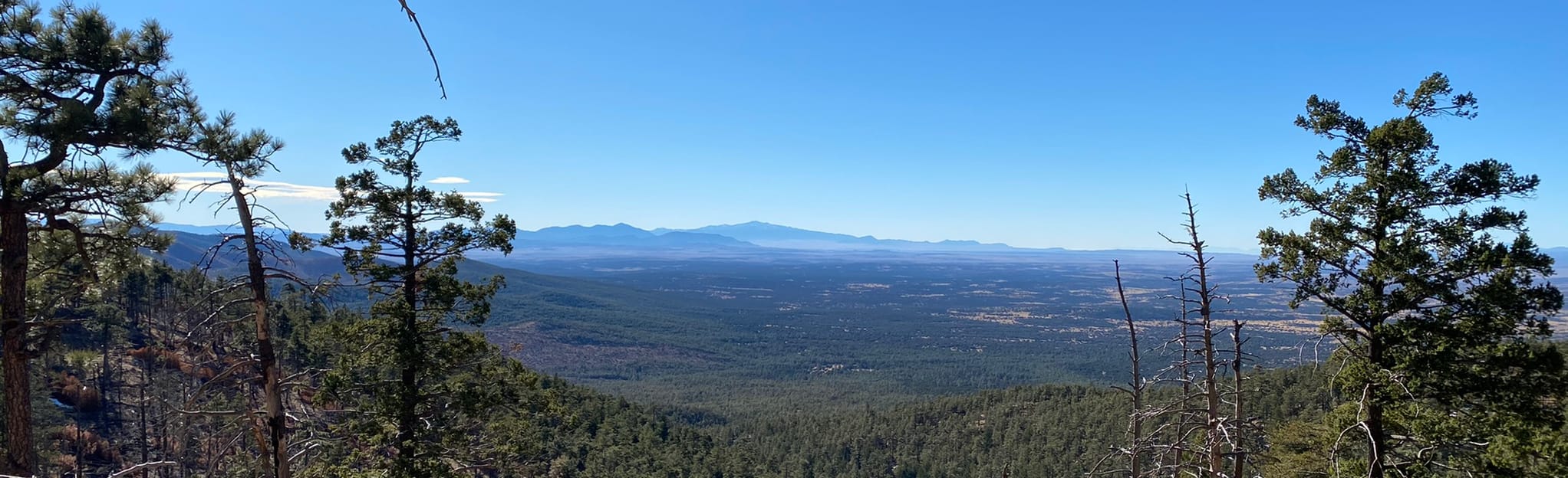 Gallinas Peak: 2 Reviews, Map - New Mexico | AllTrails