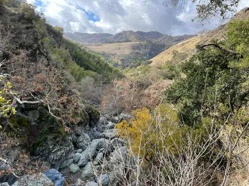 10 Best Hikes and Trails in Sunol Wilderness Regional Preserve | AllTrails