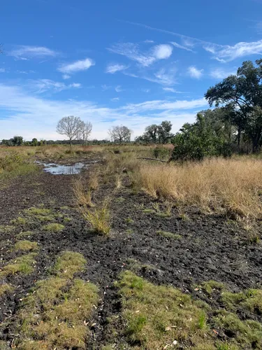 Best Hikes and Trails in Three Lakes Wildlife Management Area | AllTrails
