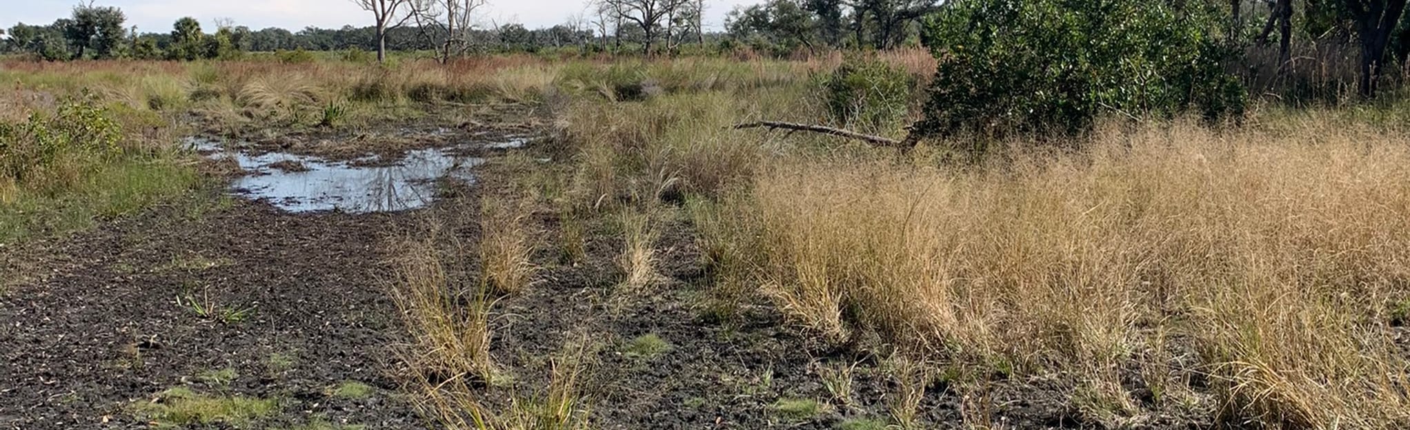 Lake Jackson and Lake Marion Double Loop: 35 Reviews, Map - Florida ...