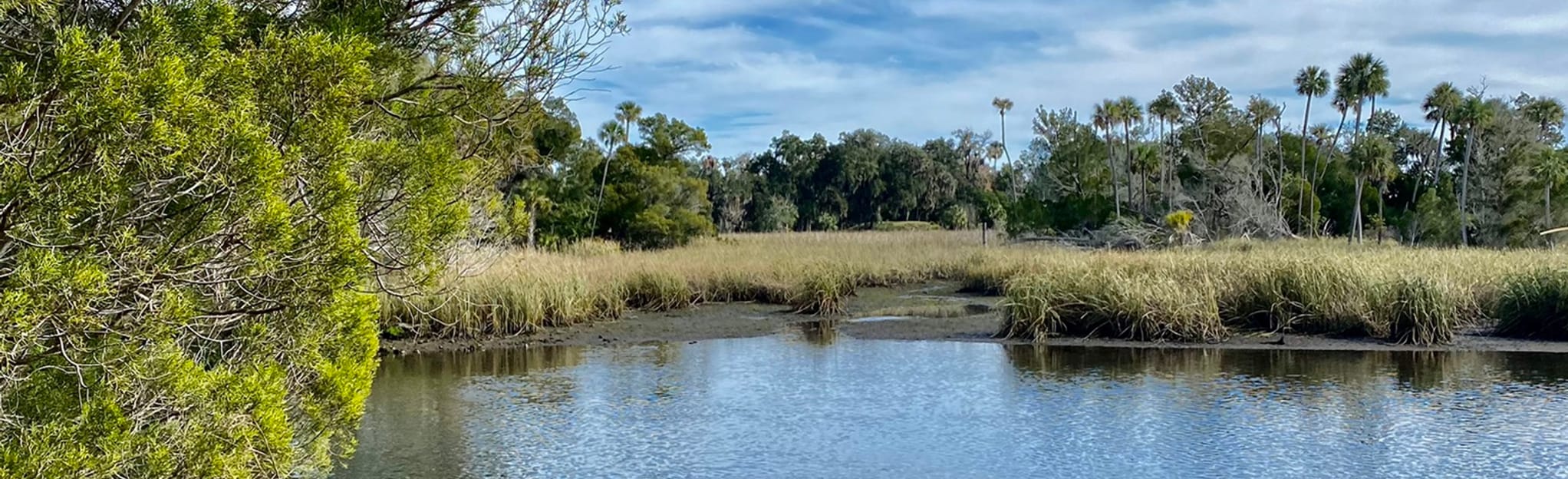 Crystal Cove Trail: 254 Reviews, Map - Florida | AllTrails