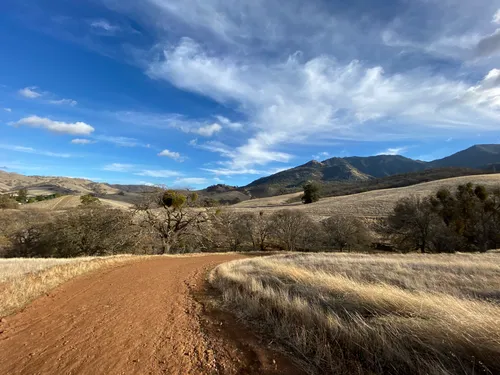 Best Mountain Biking Trails in Mount Diablo State Park | AllTrails