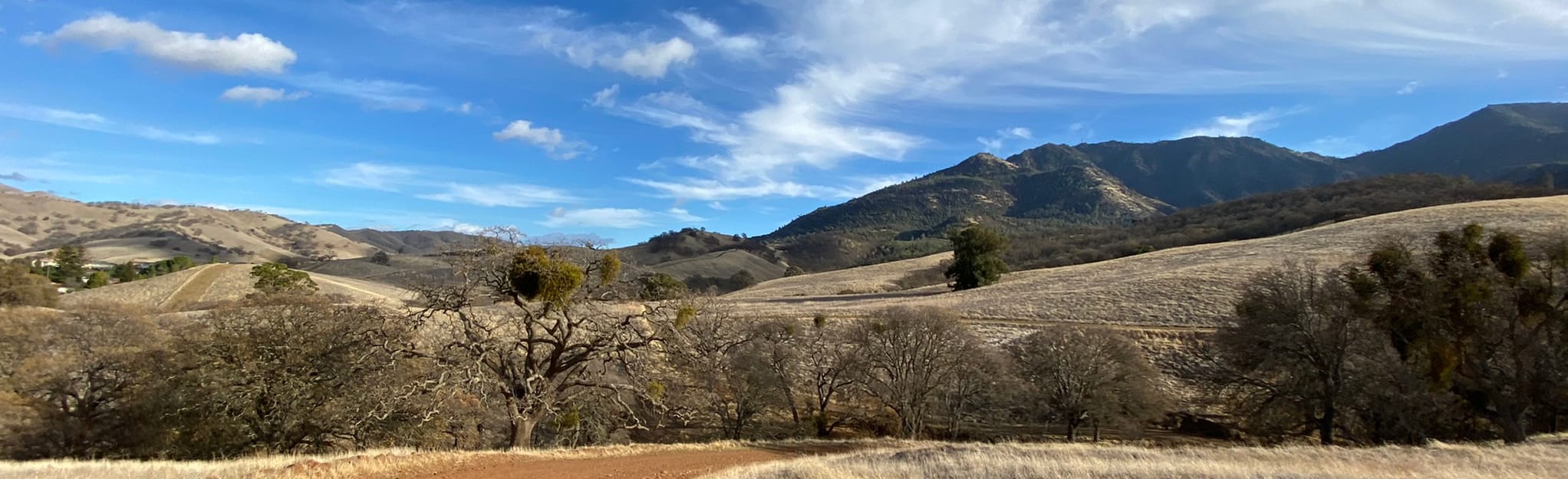 Mitchell and Donner Canyon Loop: 3.671 foto - California | AllTrails