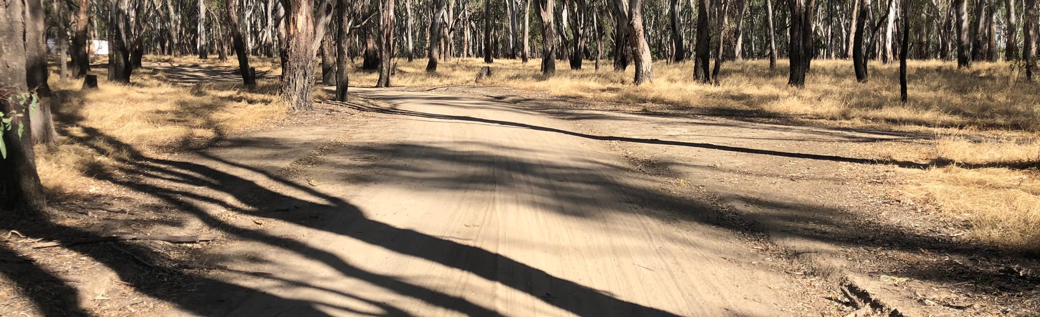 Yarrawonga Regional Park Loop: 12 Reviews, Map - Victoria, Australia ...