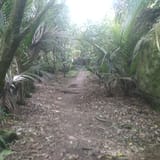 Labyrinth Rocks Park Walk, Nelson-Tasman, New Zealand - 47 Reviews, Map ...