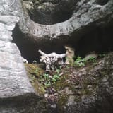 Labyrinth Rocks Park Walk, Nelson-Tasman, New Zealand - 47 Reviews, Map ...