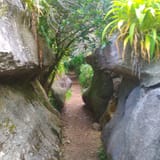 Labyrinth Rocks Park Walk, Nelson-Tasman, New Zealand - 47 Reviews, Map ...