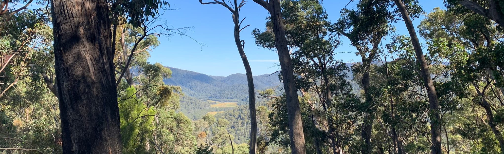 Hannels Spur Track, New South Wales, Australia - 31 Reviews, Map ...