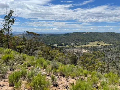 10 Best Hikes and Trails in Mount Canobolas State Conservation Area ...