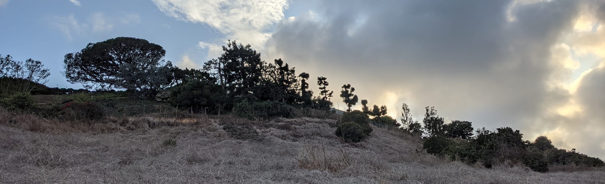 Stocker Corridor Trail, California - 354 Reviews, Map | AllTrails