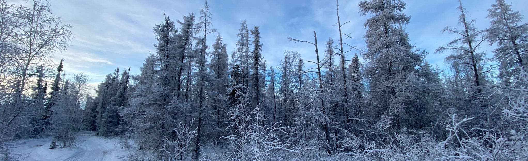 Frame Lake Connector: 7 Reviews, Map - Northwest Territories, Canada ...